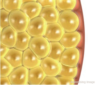 Insider CoolShaping2 Program: Vibrant Cryolipolysis Results