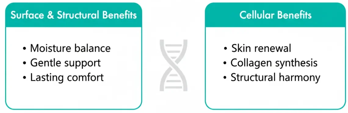 Rejuran Healer Program: The Gentle Science of Skin Renewal